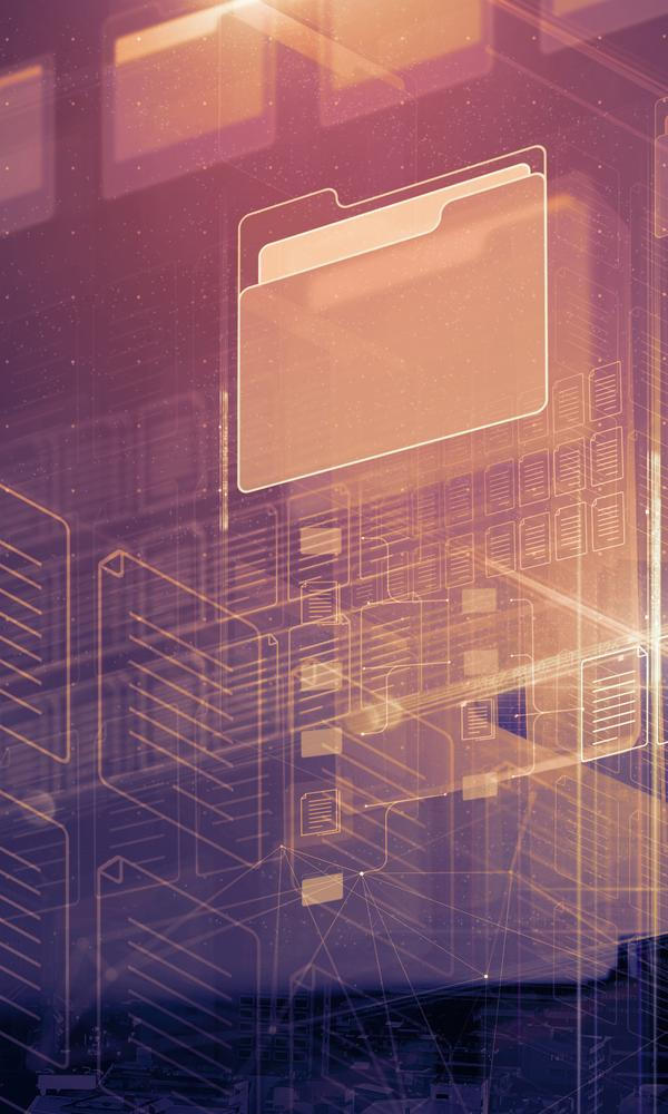 iVigee is a full Oracle Argus Partner and system provider. | iVigee